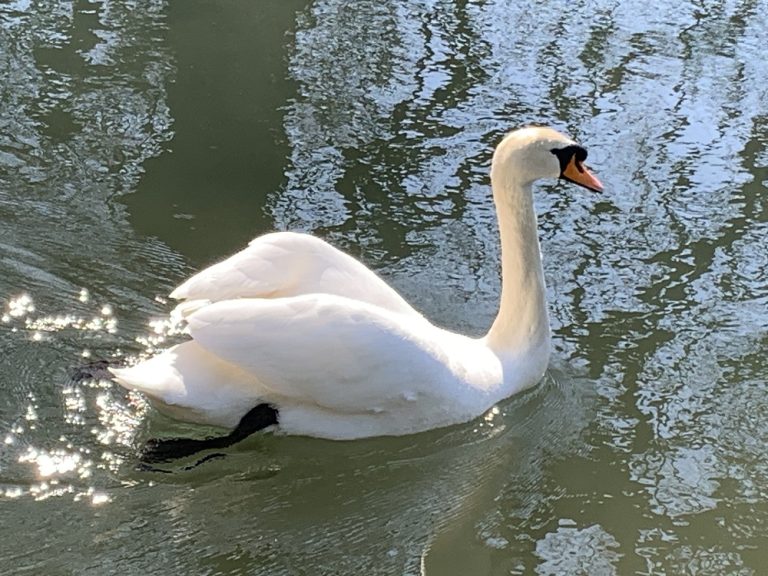 Visit Hot Fuzz Filming Locations in Wells