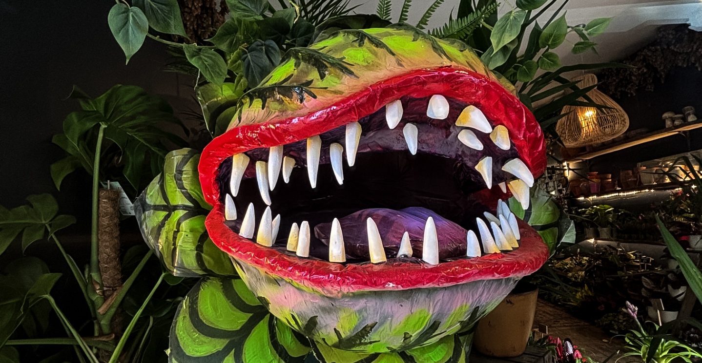 Audrey 2 at The Flower Shop on Gloucester Road in Bristol - Backstage ...